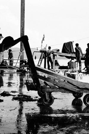 Malaysia | Stateless Hub