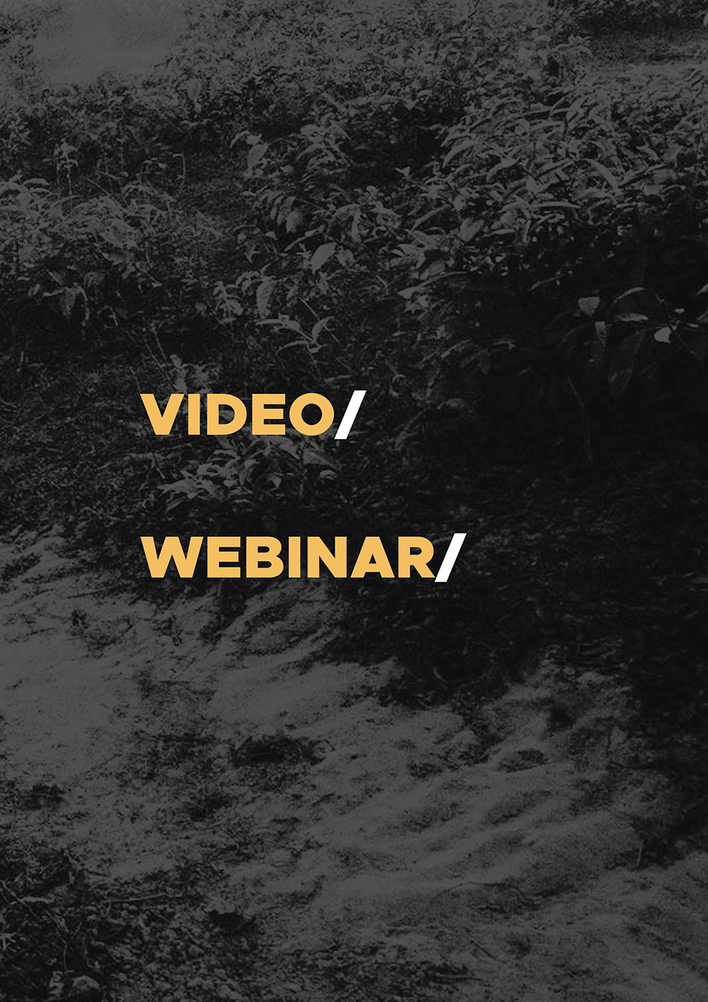 Kenya | Stateless Hub